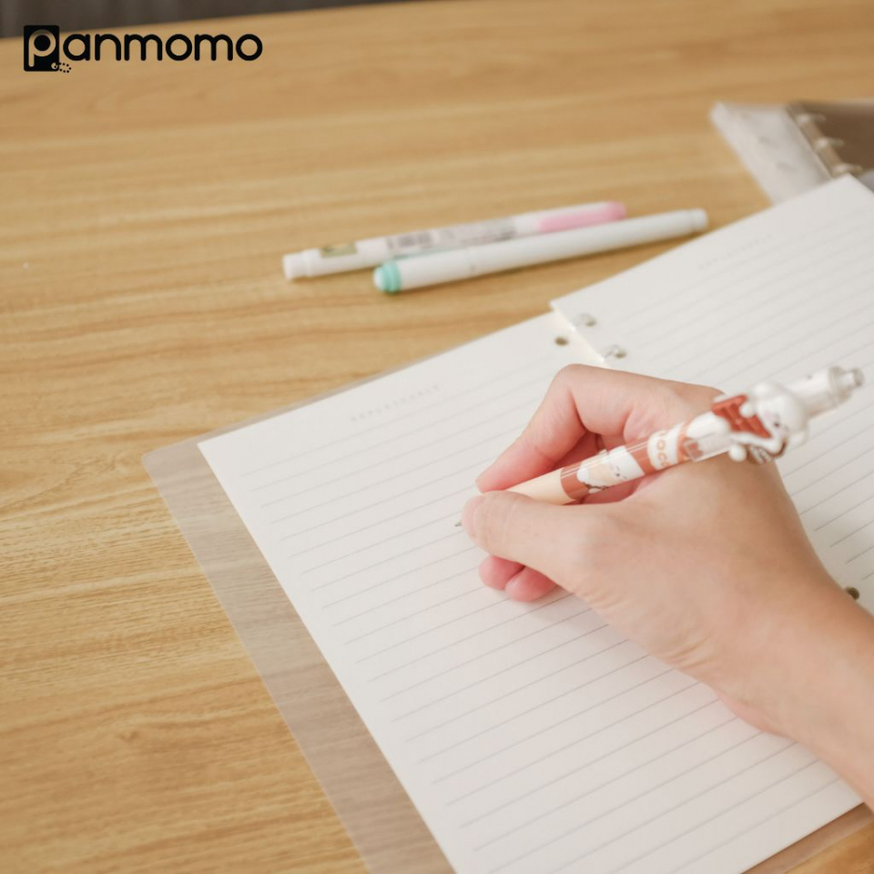 Hard Cover 6 Ring Slim File Binder | panmomo.com